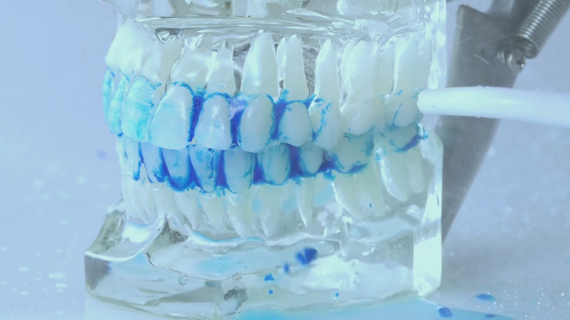 Water Sonicの特徴